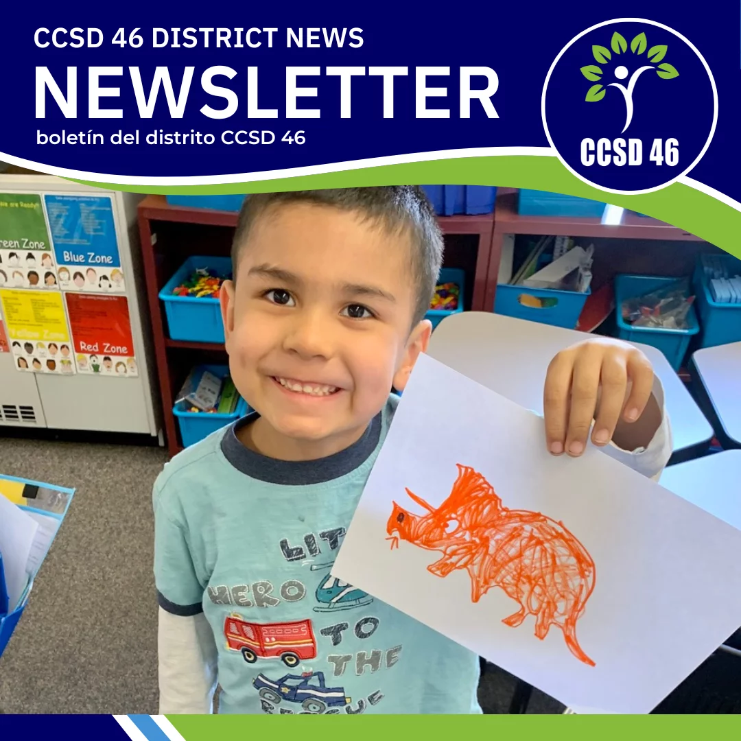 Home - CCSD 46